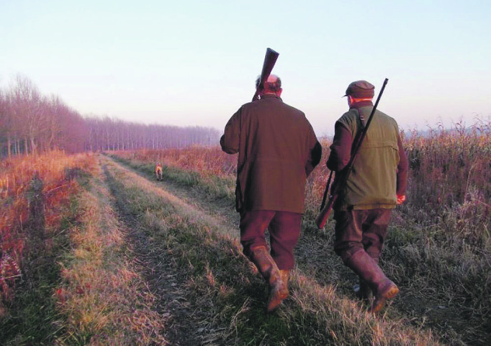 Caccia, partenza il 21 settembre. Ai cinghiali si spara tutto l’anno ...