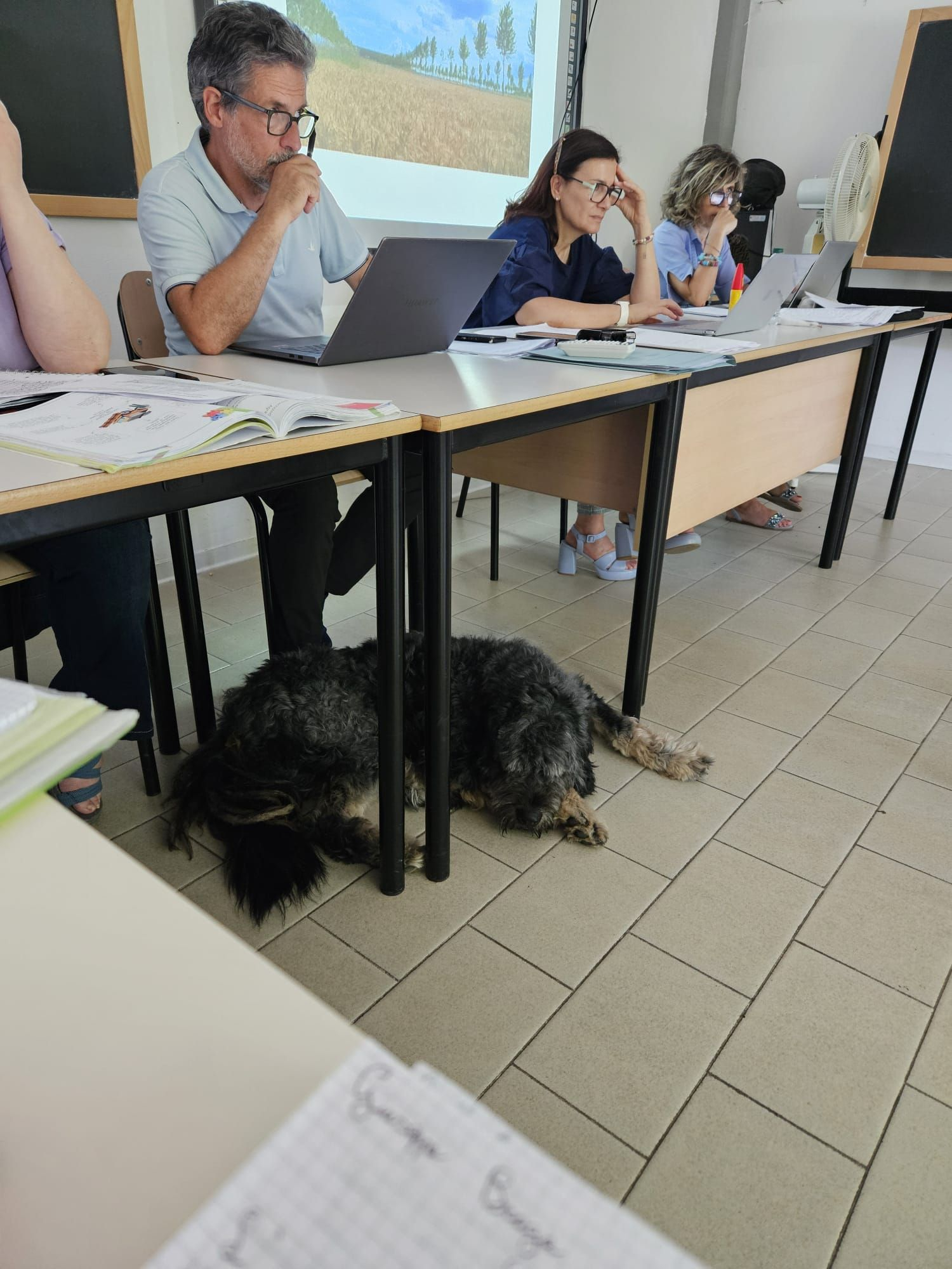 Il cane Hugo angelo della Maturità: al Marcora mai senza di lui