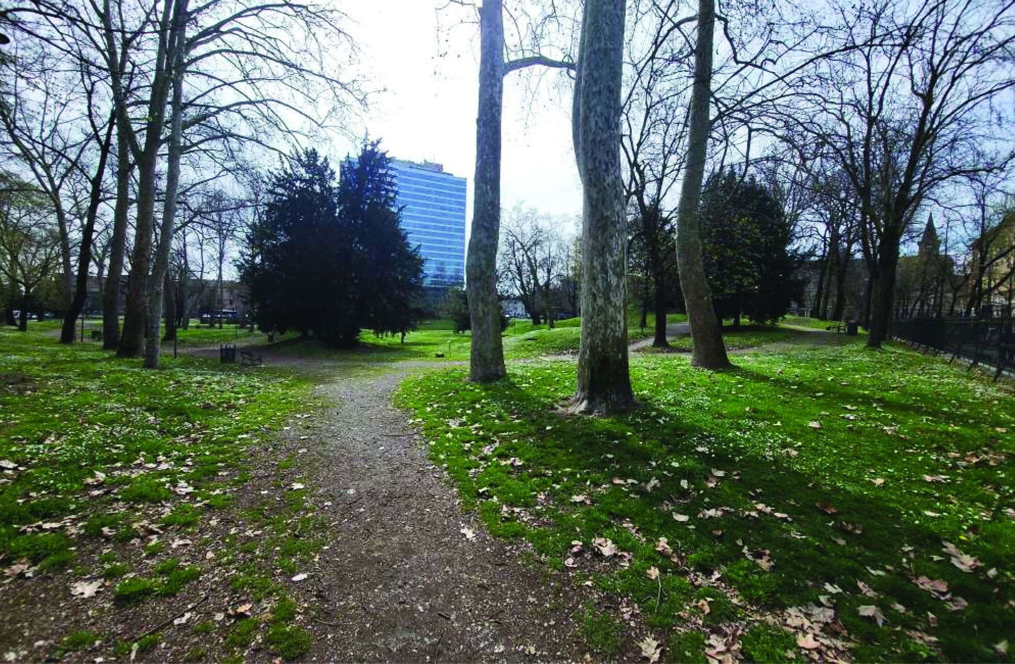 Giardini Margherita, scatta il maxi restauro: vialetti rifatti e parco ...