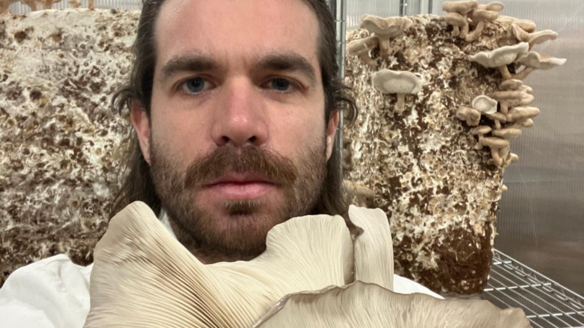 Pietro Trevisan, dall’estero all’agricoltura 5.0: funghi sostenibili ...