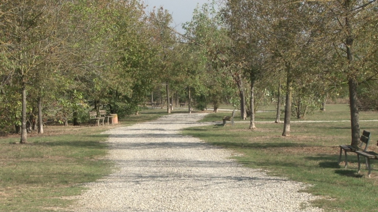 "Verde è vita": studenti del Tramello e Comune insieme per valorizzare ...