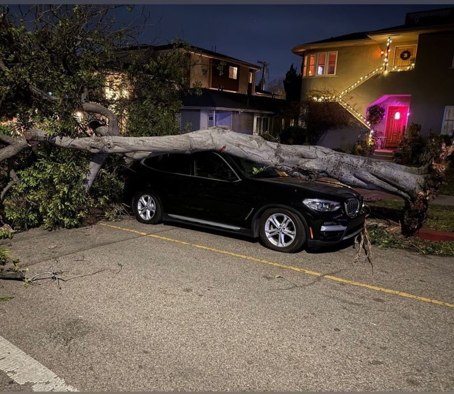 Incendi a Los Angeles, il piacentino Sonzini costretto a fuggire da ...