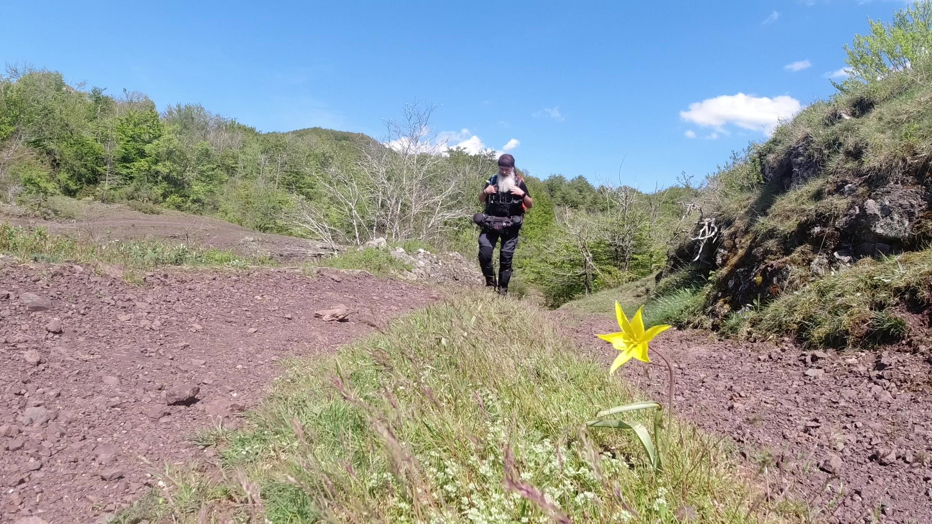 Tra sentieri e pascoli in fiore: "Sentieri Piacentini" stasera ci porta ...